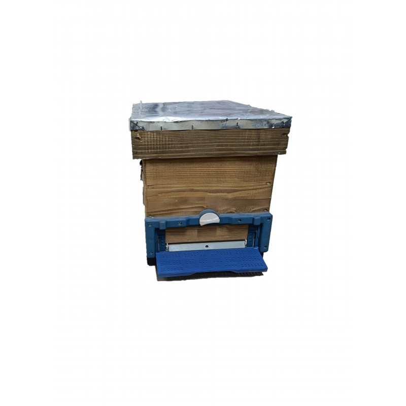 6 LI RUŞET PLASTİK TABANLI YALOVA ARI KOVANI